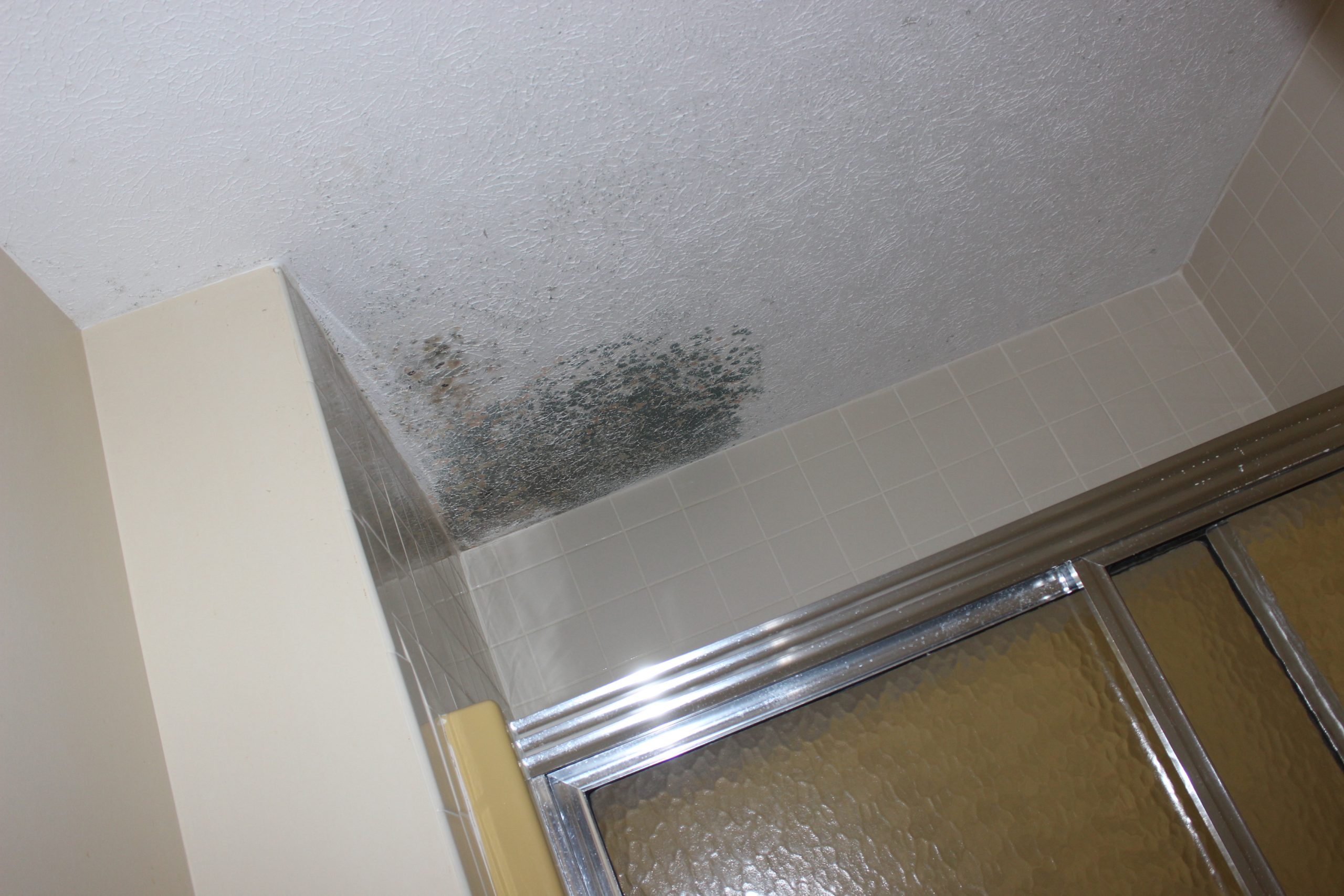 Mold Damage Insurance Claims | United Claims Specialists Mold Damage Insurance Claims | United Claims Specialists